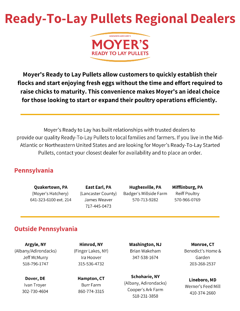 Moyer's Ready to Lay Pullets | Hoover's Hatchery